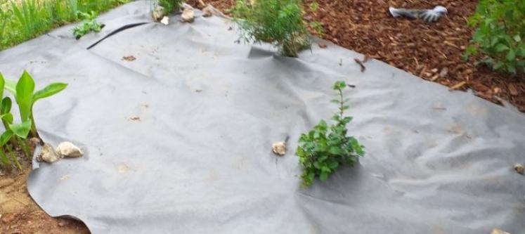 Tout savoir sur le géotextile